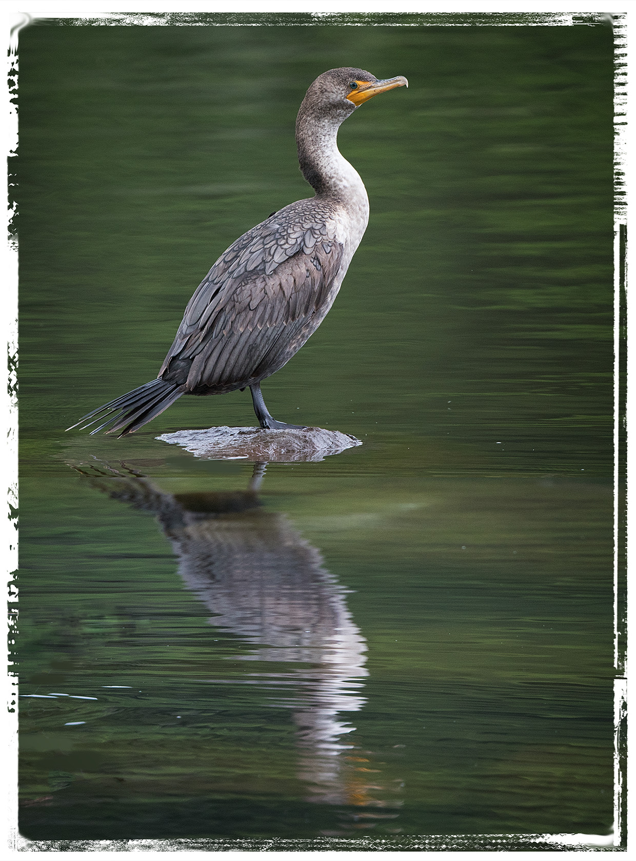 Lake Ralphine – In a Dark Time